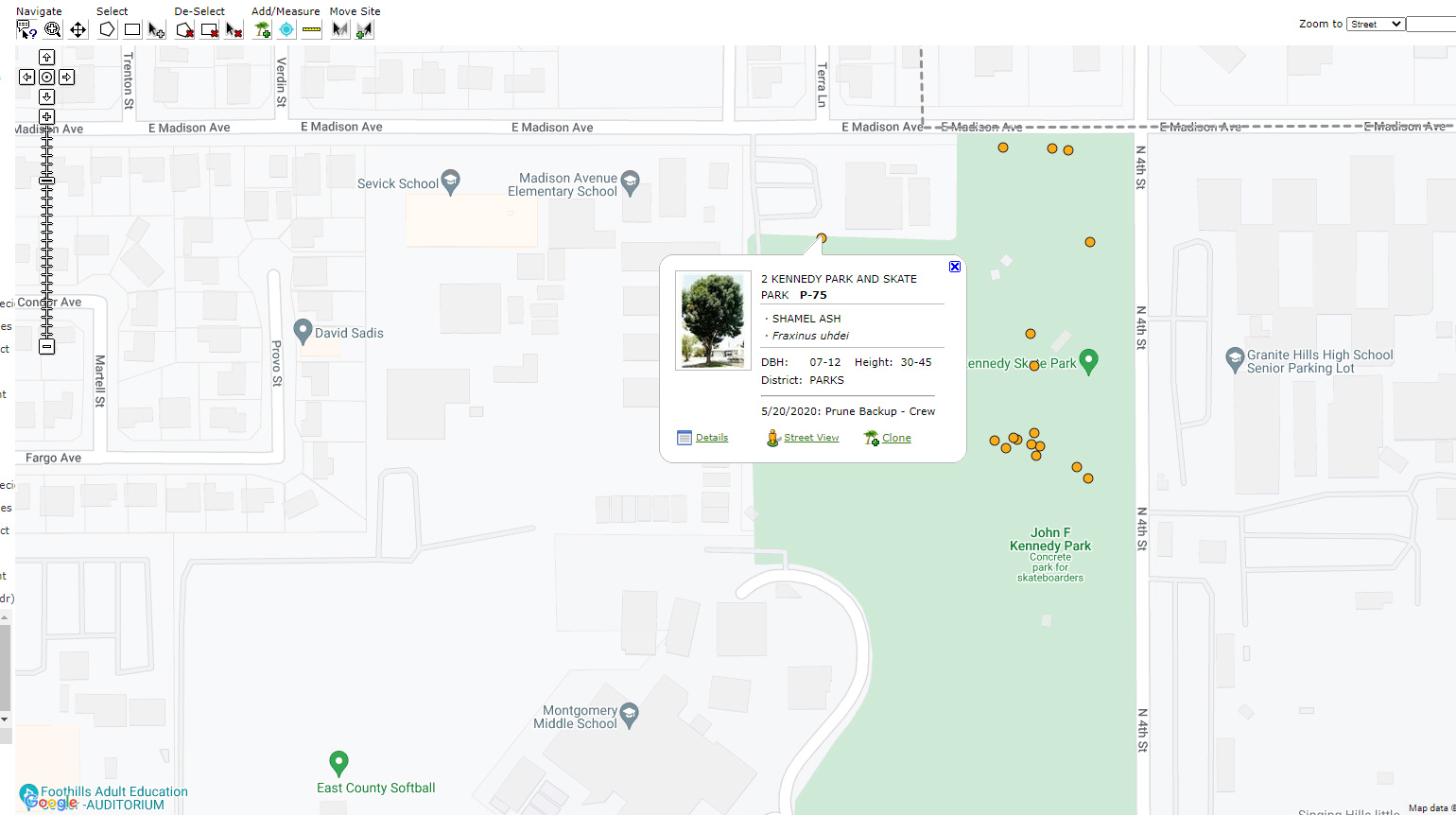 Keepers of the Trees | Wood & Steel